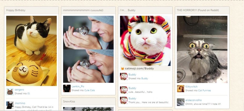 21,000 cat videos and pictures in a month with 7,000 users - Catmoji ...