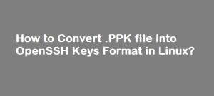 How to Convert PPK File to OpenSSH Keys and Login using SSH in Linux? - Techglimpse