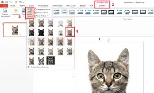 How to Blur Image in Microsoft PowerPoint? - Techglimpse