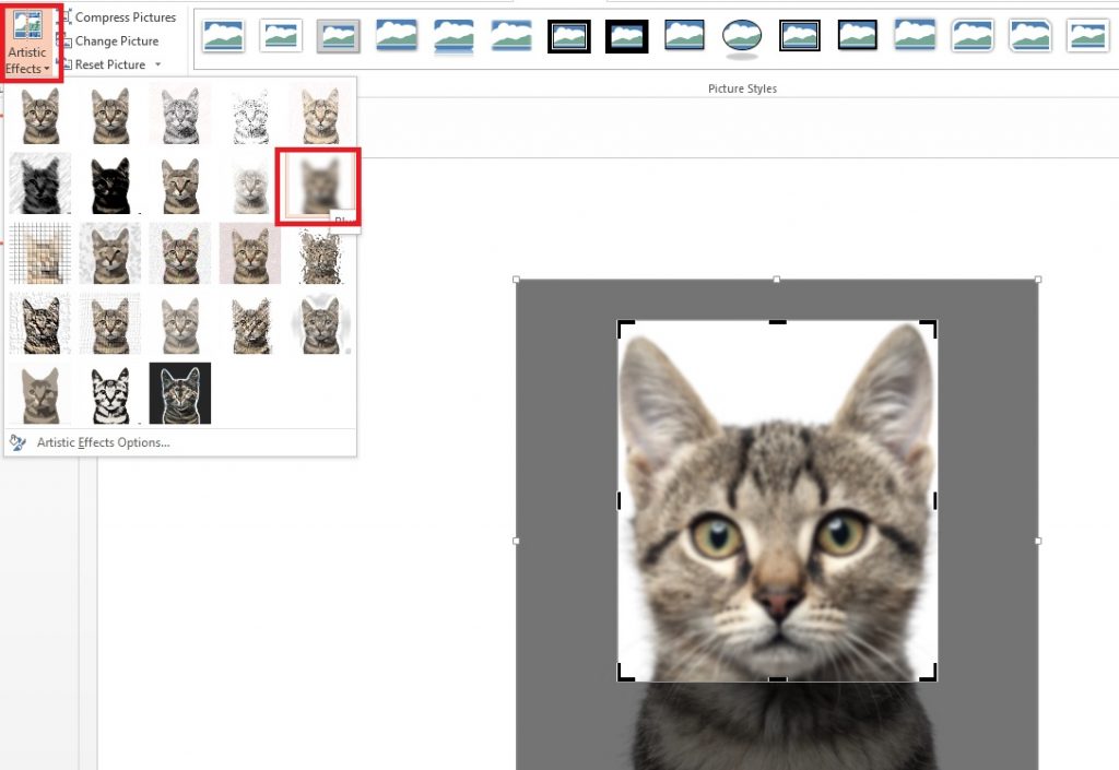 How to Blur Image in Microsoft PowerPoint? - Techglimpse